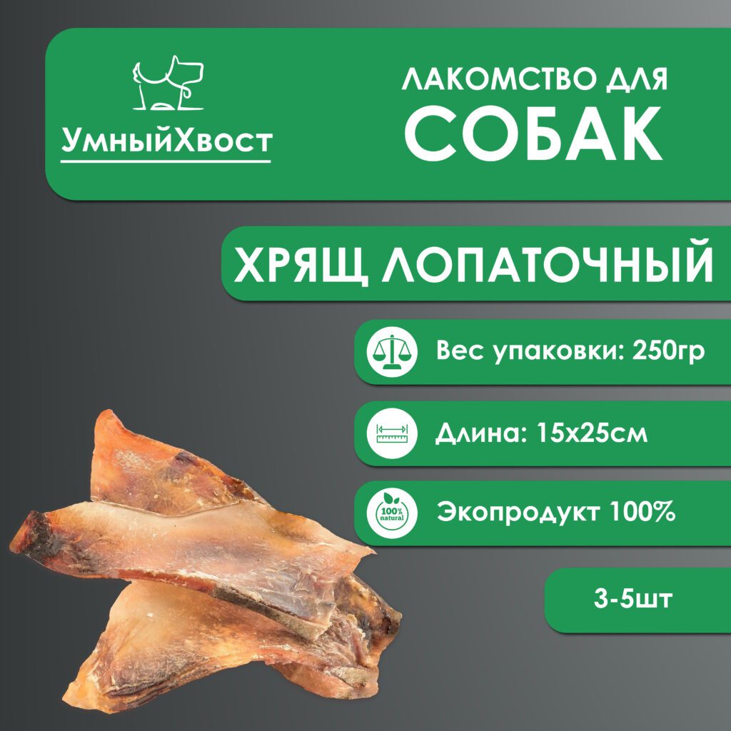 Лопаточный хрящ - Умный Хвост